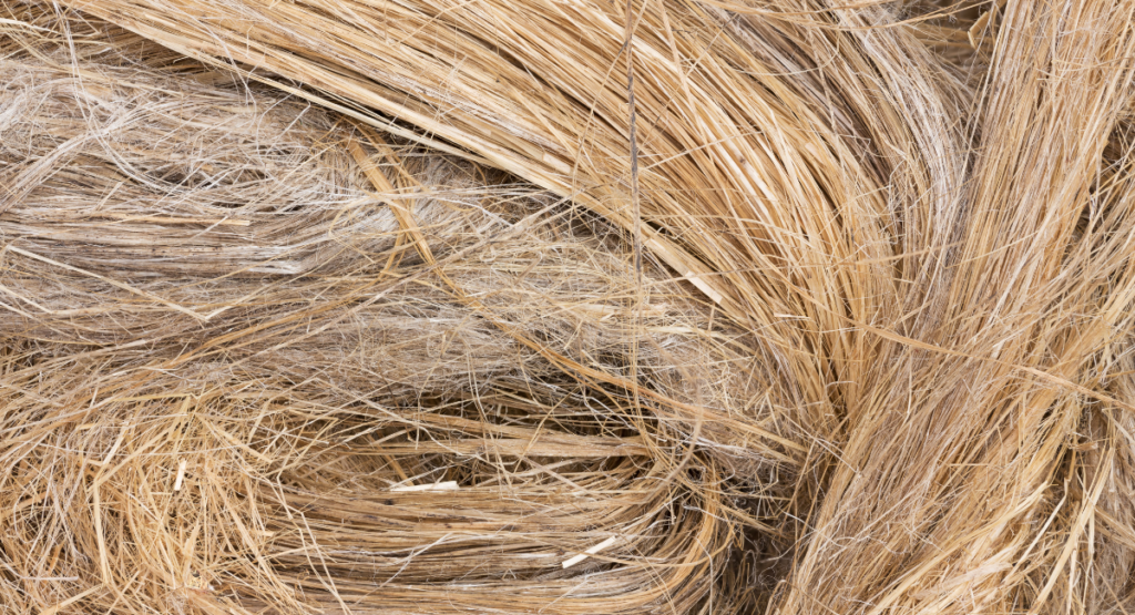 Flachsfasern Bau Alle Infos Allgemein ↗️ NEUWEST