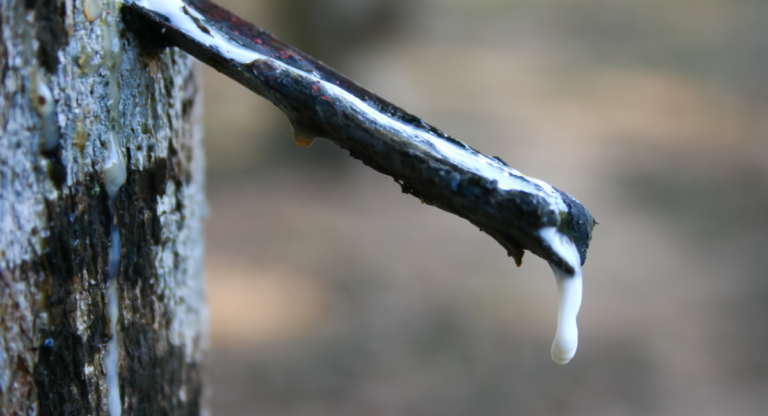 Kautschuk Bau - Alle Infos | NEUWEST