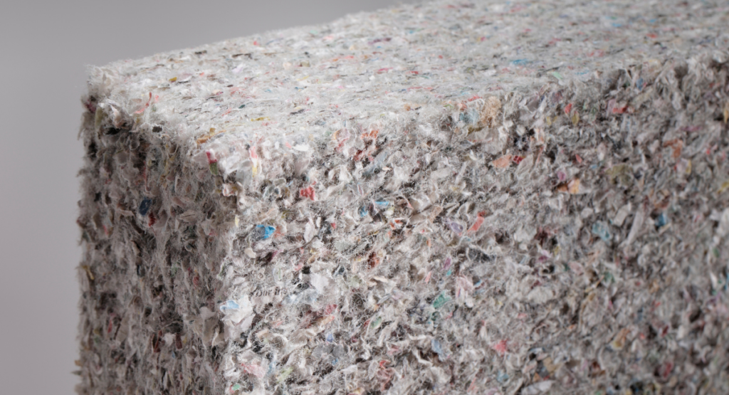 Zellulose Bau Alle Infos Allgemein ↗️ NEUWEST